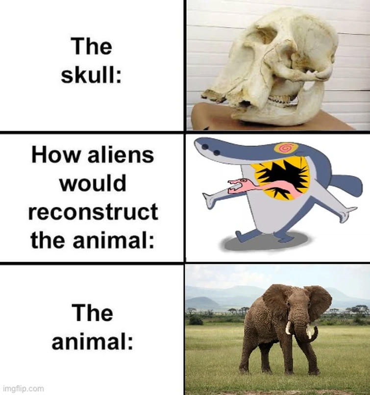 Random and possibly cursed memes pt 1. | Fandom