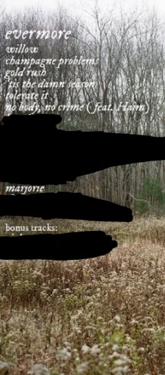 Song Elimination Game: Evermore Day 11 | Fandom