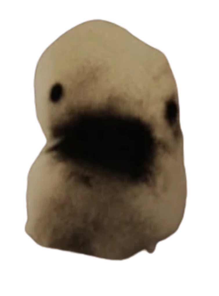 I cut out some Whiteys | Fandom