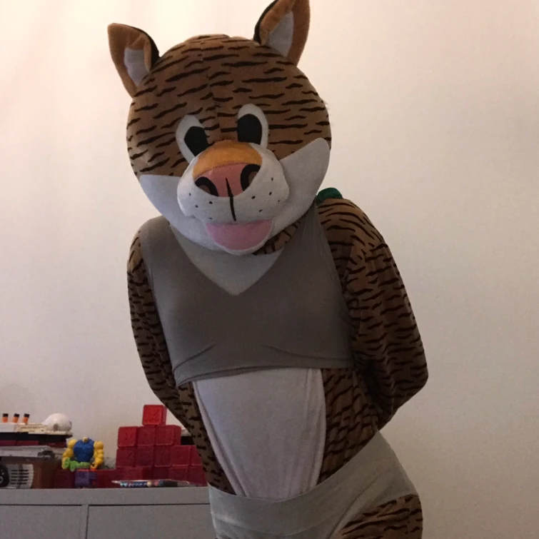 My old fursuit | Fandom