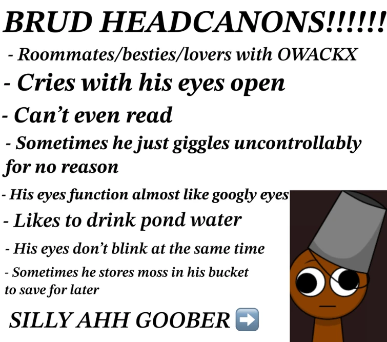 AYOOOO I GOT SOME HEADCANONS FOR OWACKX AND BRUD HERE!!! | Fandom