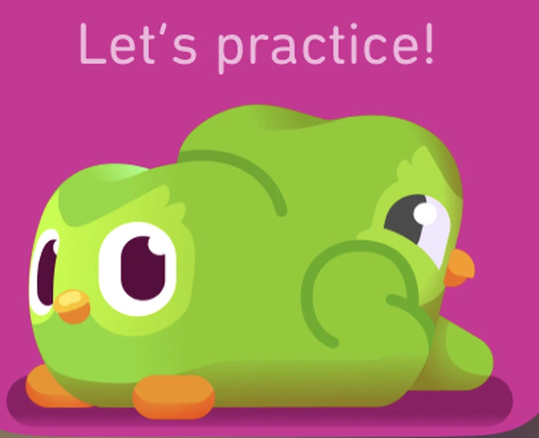 Do you have Duolingo? | Fandom