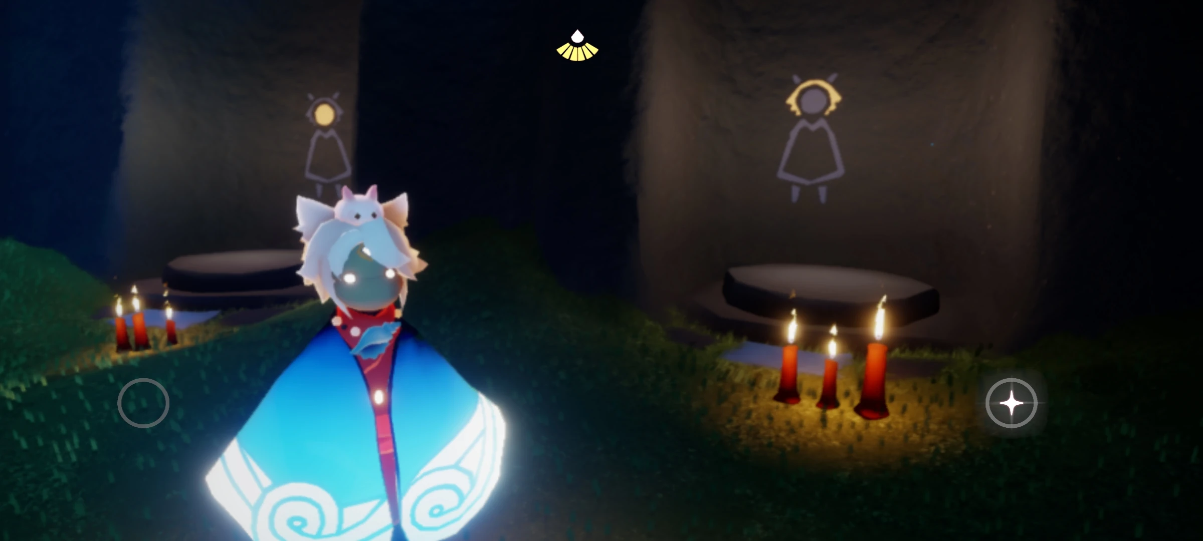 Where do we get the cat hair ?? | Fandom