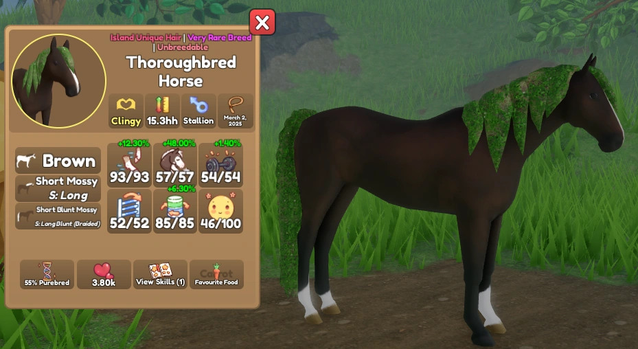 Name/Tack Ideas Needed!! + Meet My New Horses: D | Fandom