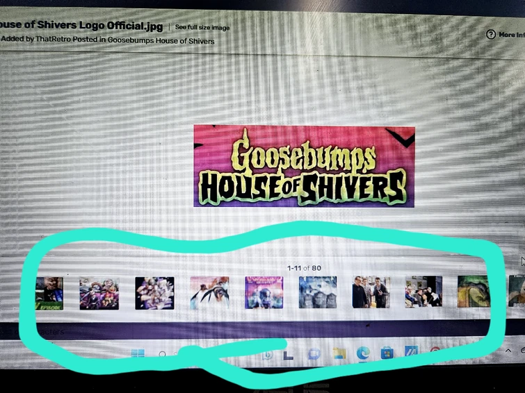 The Pictures | Fandom