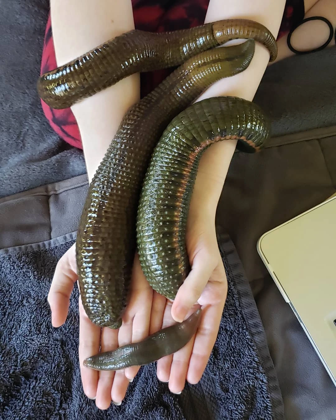 Imagine this in cos | Fandom