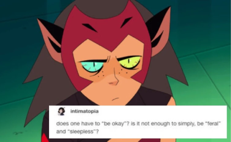She-ra memes (mostly Catra) | Fandom