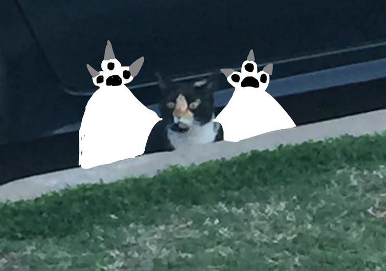 OMG IRL CREATURE SIGHTING REAL!!!!!1!1!1!1!!!1!1 | Fandom