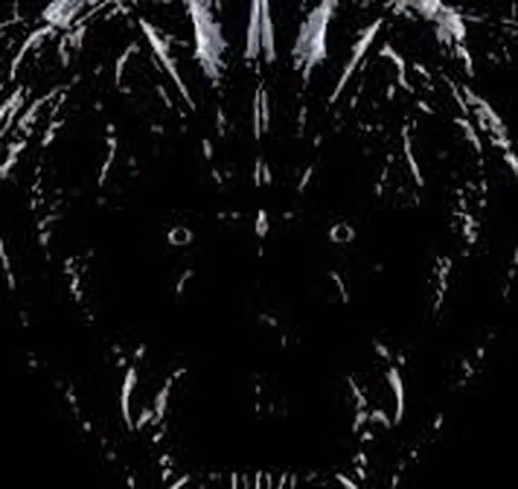 MY SISTER WATCHED FPE | Fandom