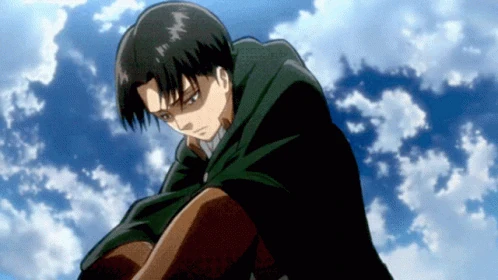 (Strongest Soldier) The LEVI Battle Arena (Sneakpeek) | Fandom