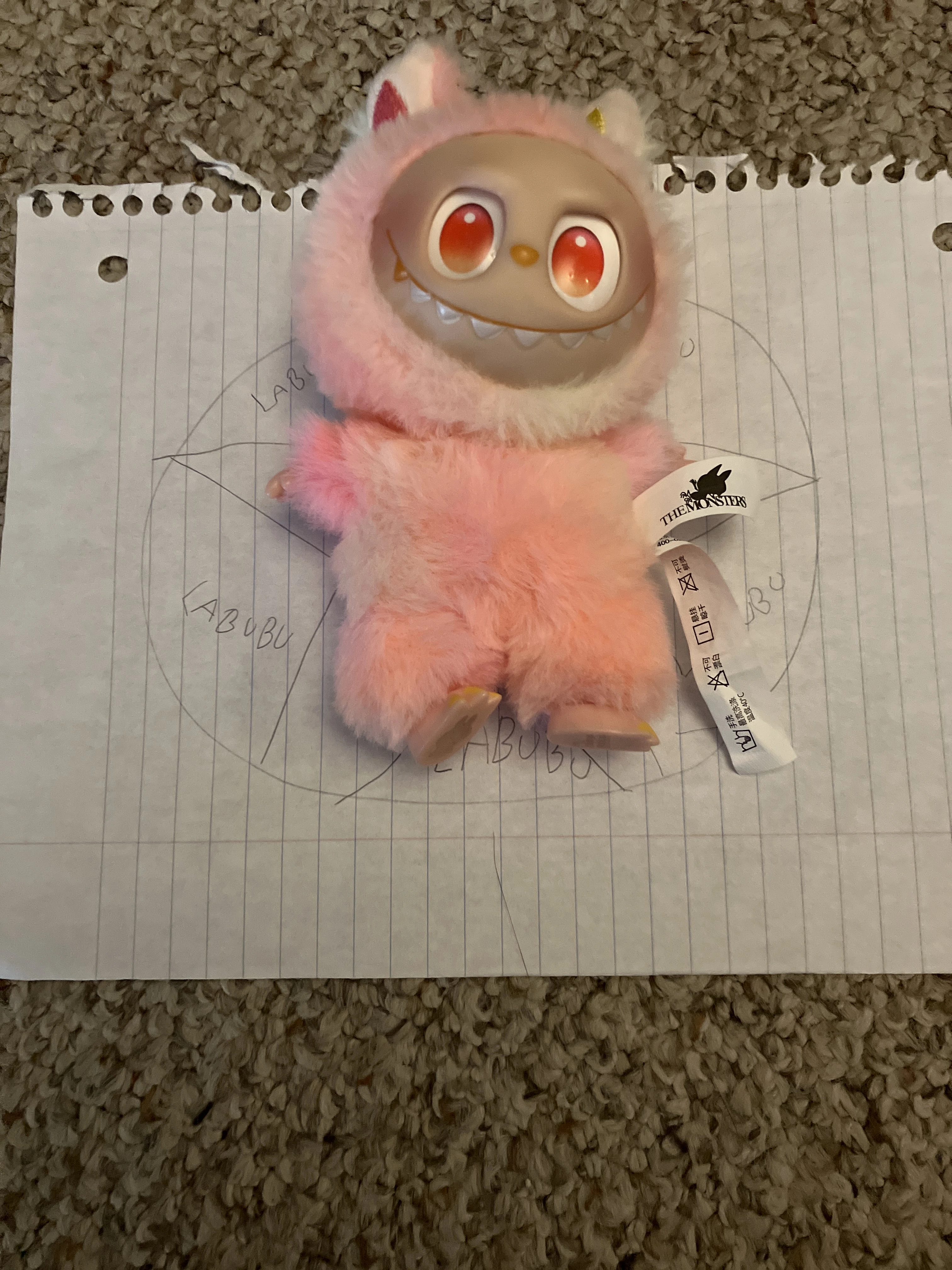 Labubu ritual | Fandom