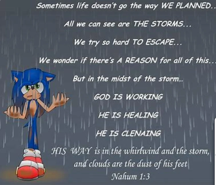 i live for christian sonic | Fandom