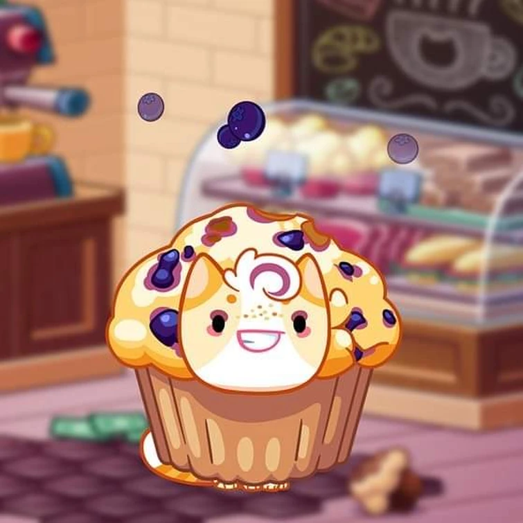 It's a Blueberry Muffin Cat! | Fandom