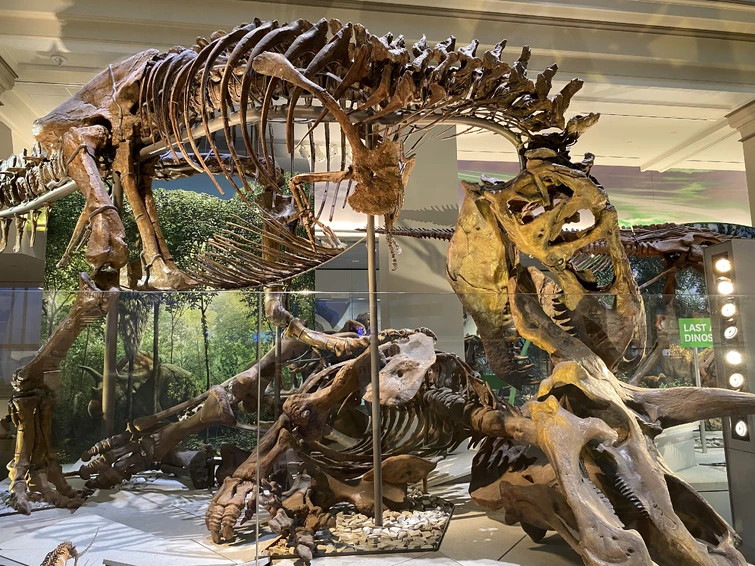 cryolophosaurus skeleton | Fandom