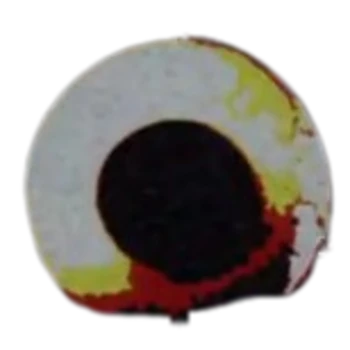 New Nextbot ?? | Fandom