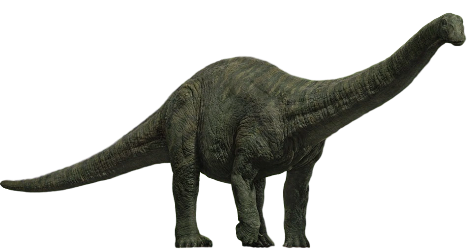 my jwcc season 5 trailer | Fandom