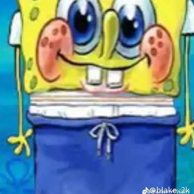 SpongeBob is cute | Fandom