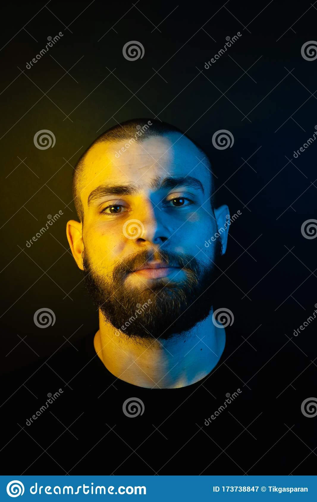 guys guys look | Fandom