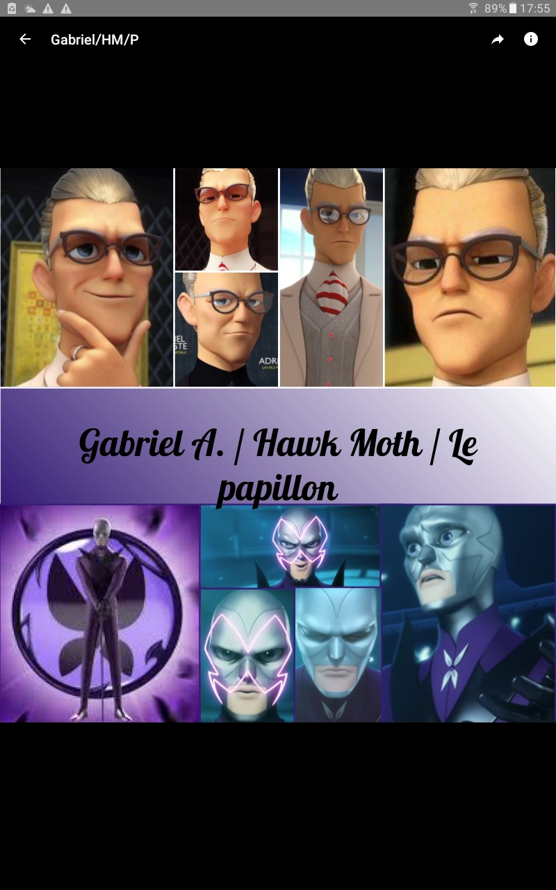 Gabriel / Hawk Moth / Le papillon | Fandom