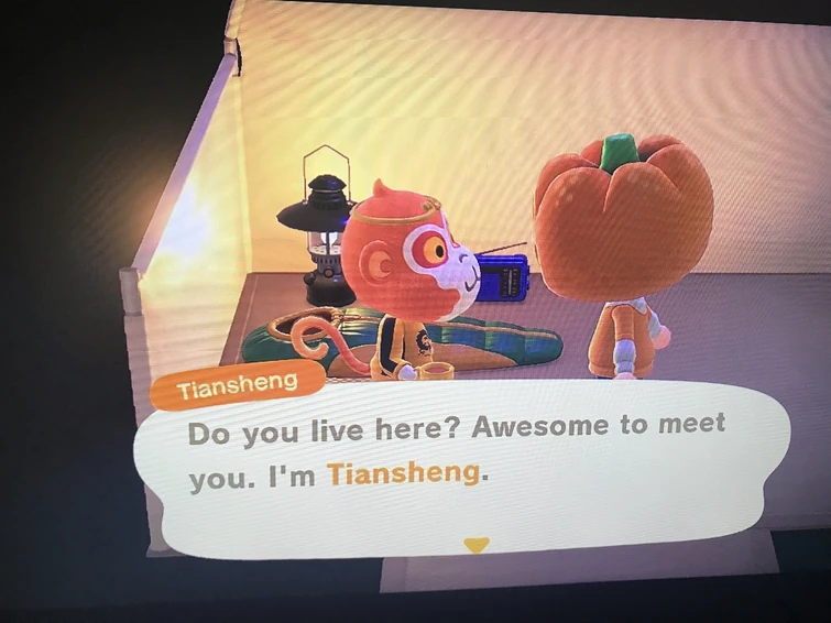 Discuss Everything About Animal Crossing Wiki | Fandom