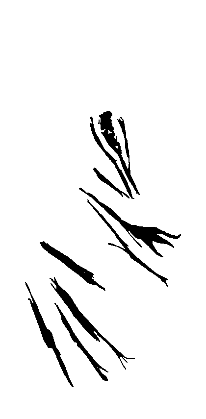 merchant transparent png | Fandom