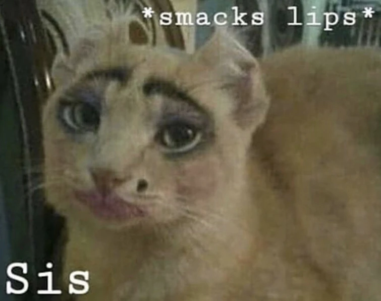 yassifying profile picsss! | Fandom