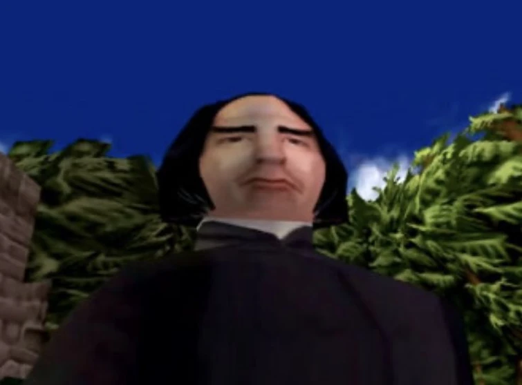 cursed harry potter images i found on pinterest (prepare yourselves ...