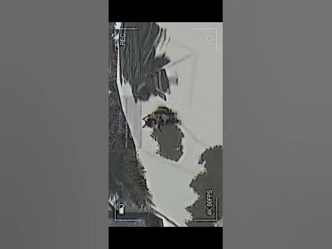 weeeeeeee!! | Fandom