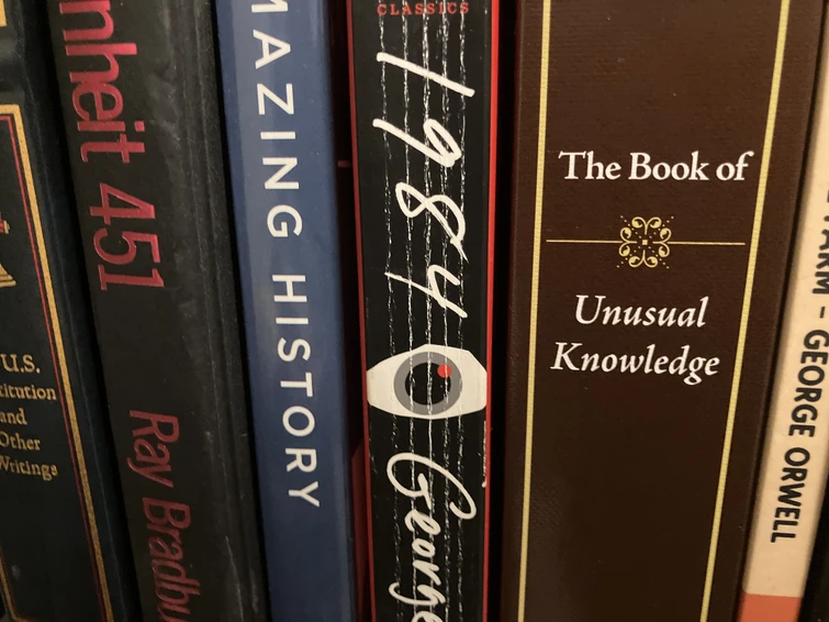 i love how there a book on a bookshelf that’s just staring at me | Fandom