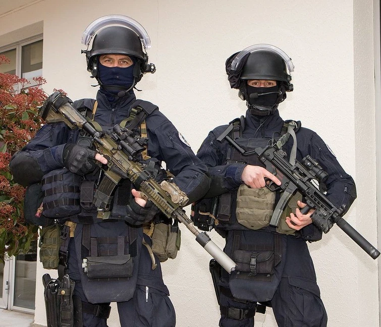 GIGN Operator | Fandom