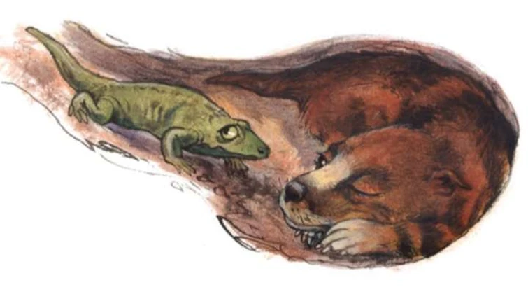 the original cuddle buddies | Fandom