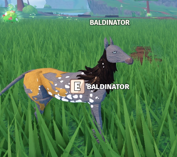 BALDINATOR | Fandom