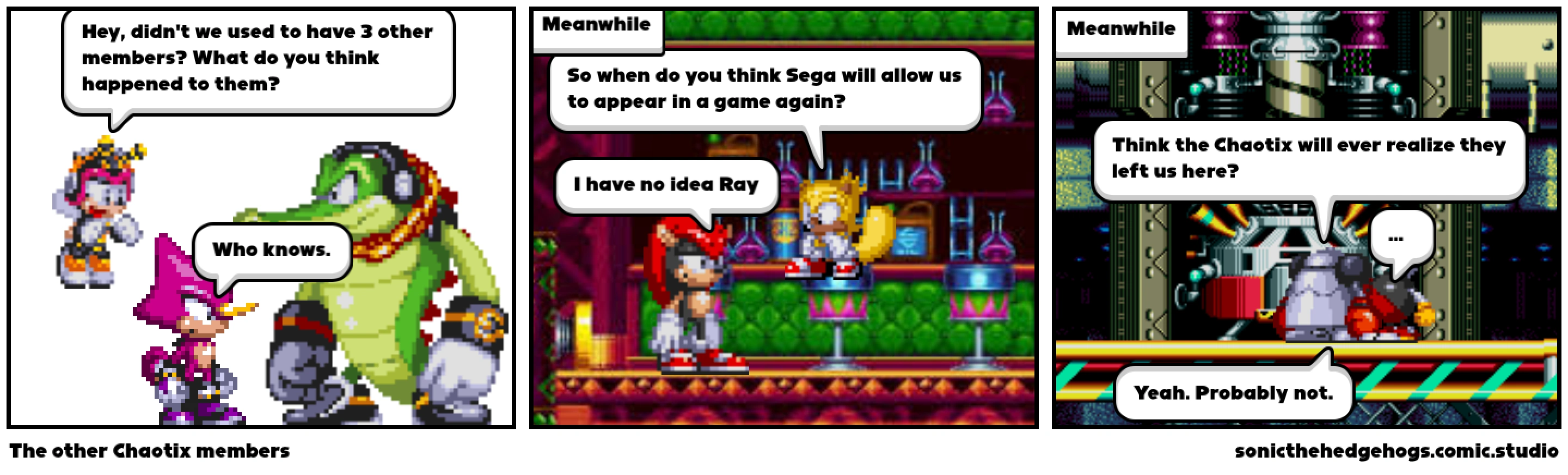 The other Chaotix members | Fandom