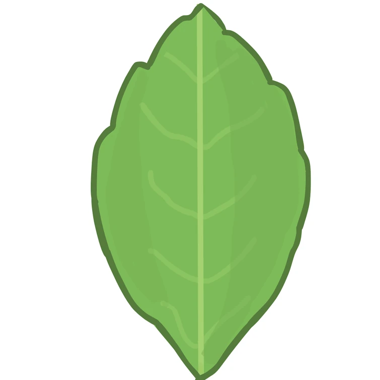 I frikin' love Leafy's hfjONE asset | Fandom