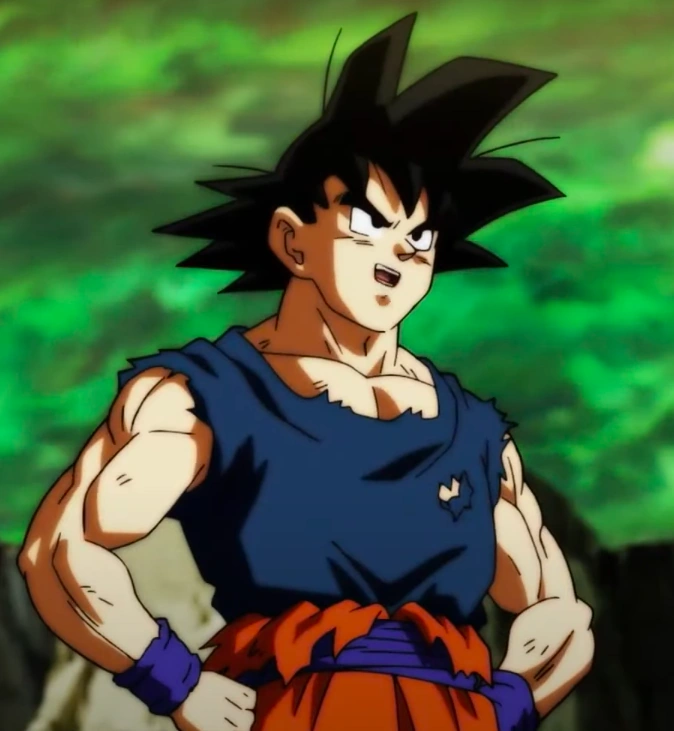 (Mastered Ultra Instinct) The Dragon Ball Super Goku Experience | Fandom