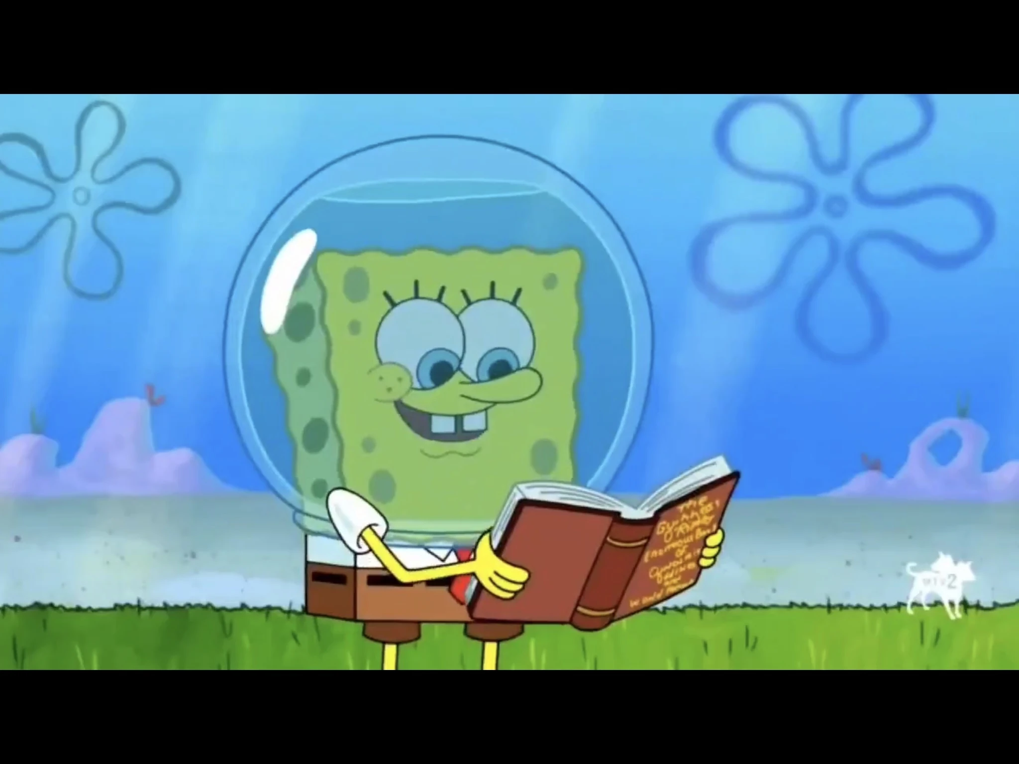 SpongeBob on MTV2? | Fandom