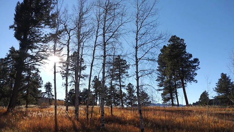 Nice breezy day | Fandom