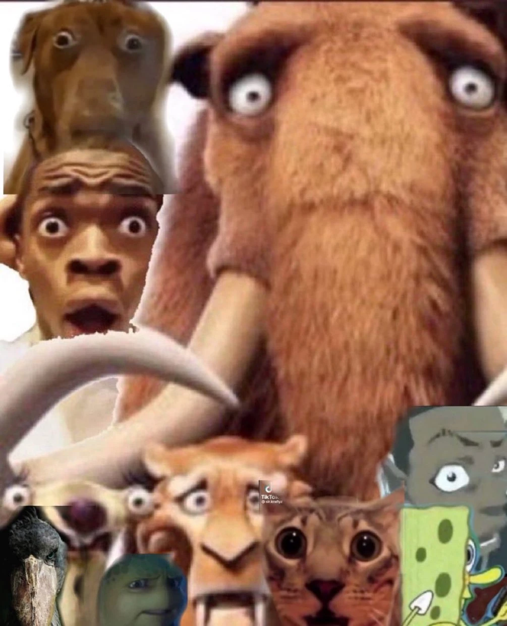 No way 1 report (or 4 reports) causes this shit 🥀 | Fandom