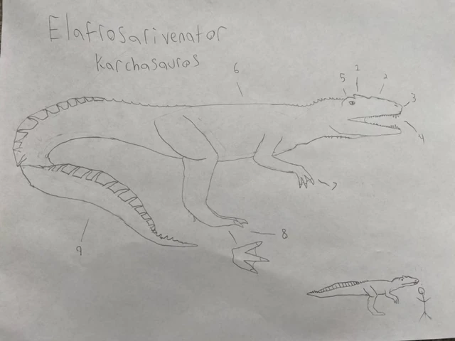 Spec Evo Animal | Fandom
