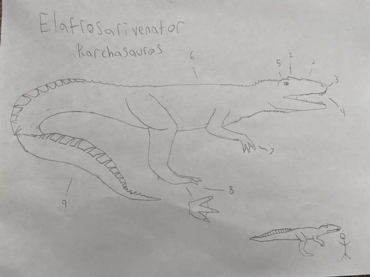 Spec Evo Animal | Fandom