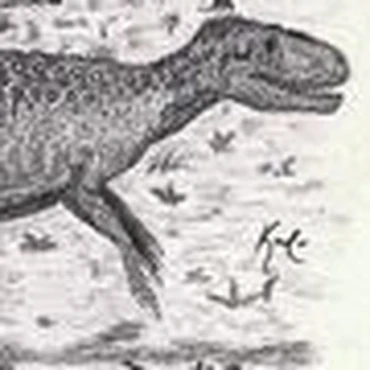 Discuss Everything About Dinopedia | Fandom