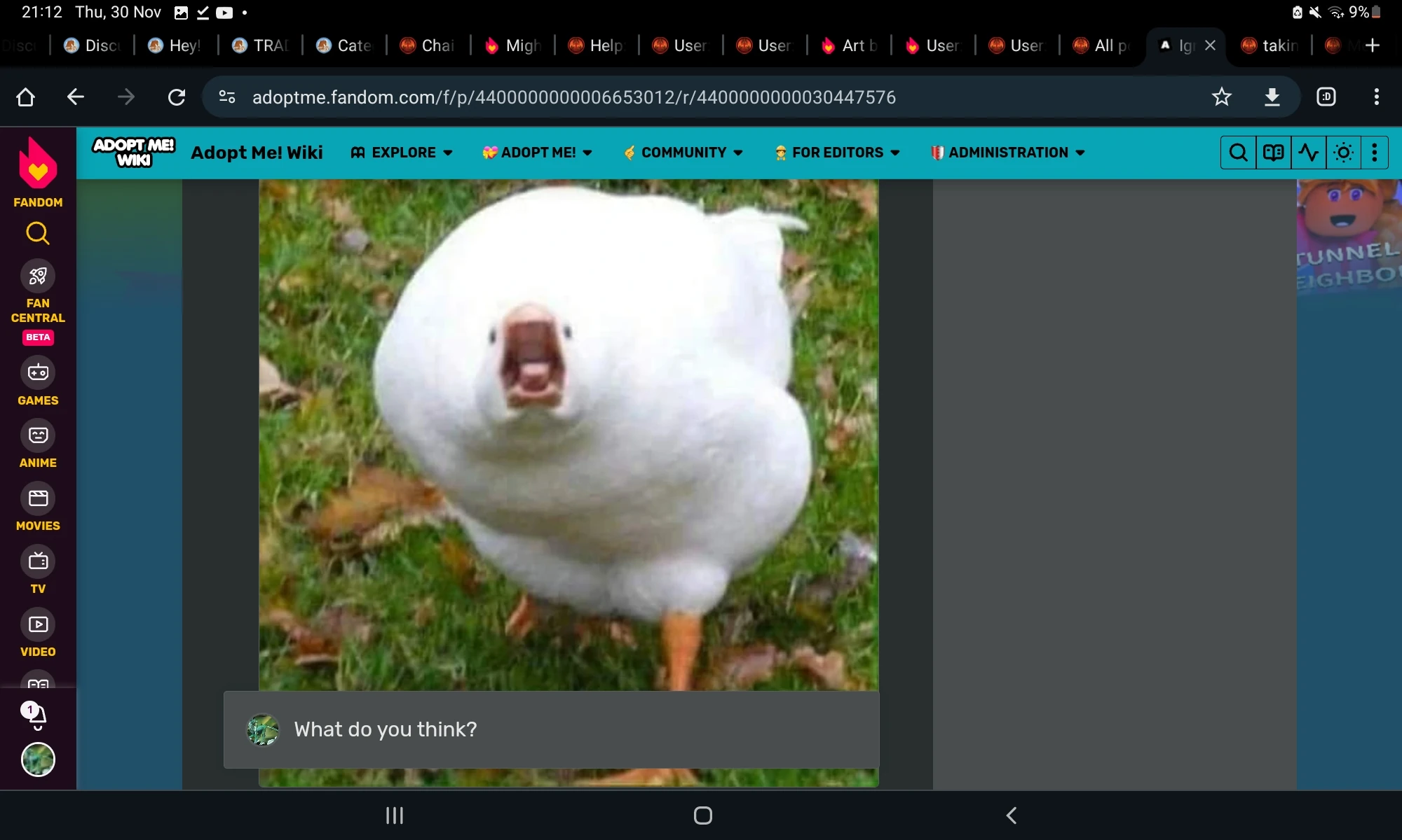 I I.. I swear I didn't eat the goose! | Fandom