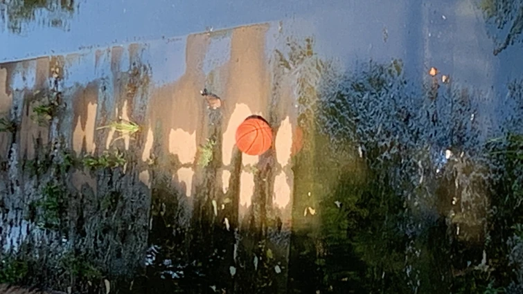 give me random things to rate | Fandom