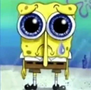 New Custom Nextbot Sad Sponge | Fandom