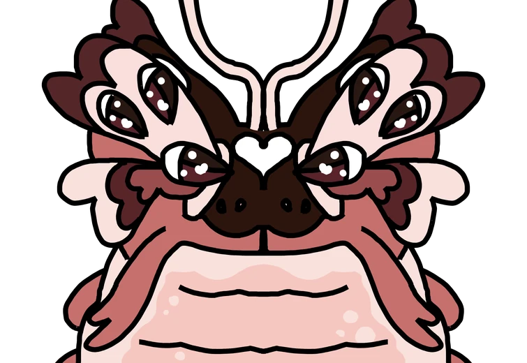 screw you. (front views your wuggawyrm) | Fandom