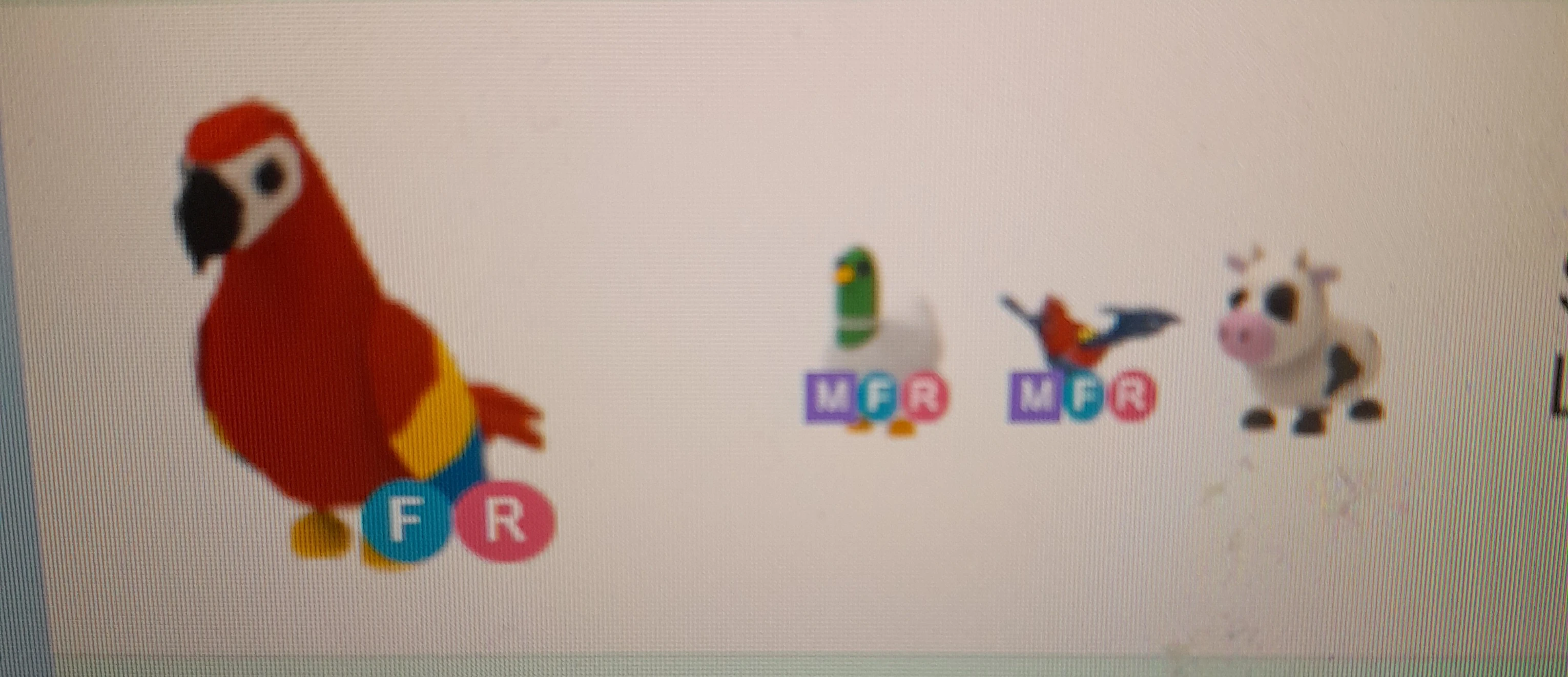 Offering for a parrot | Fandom