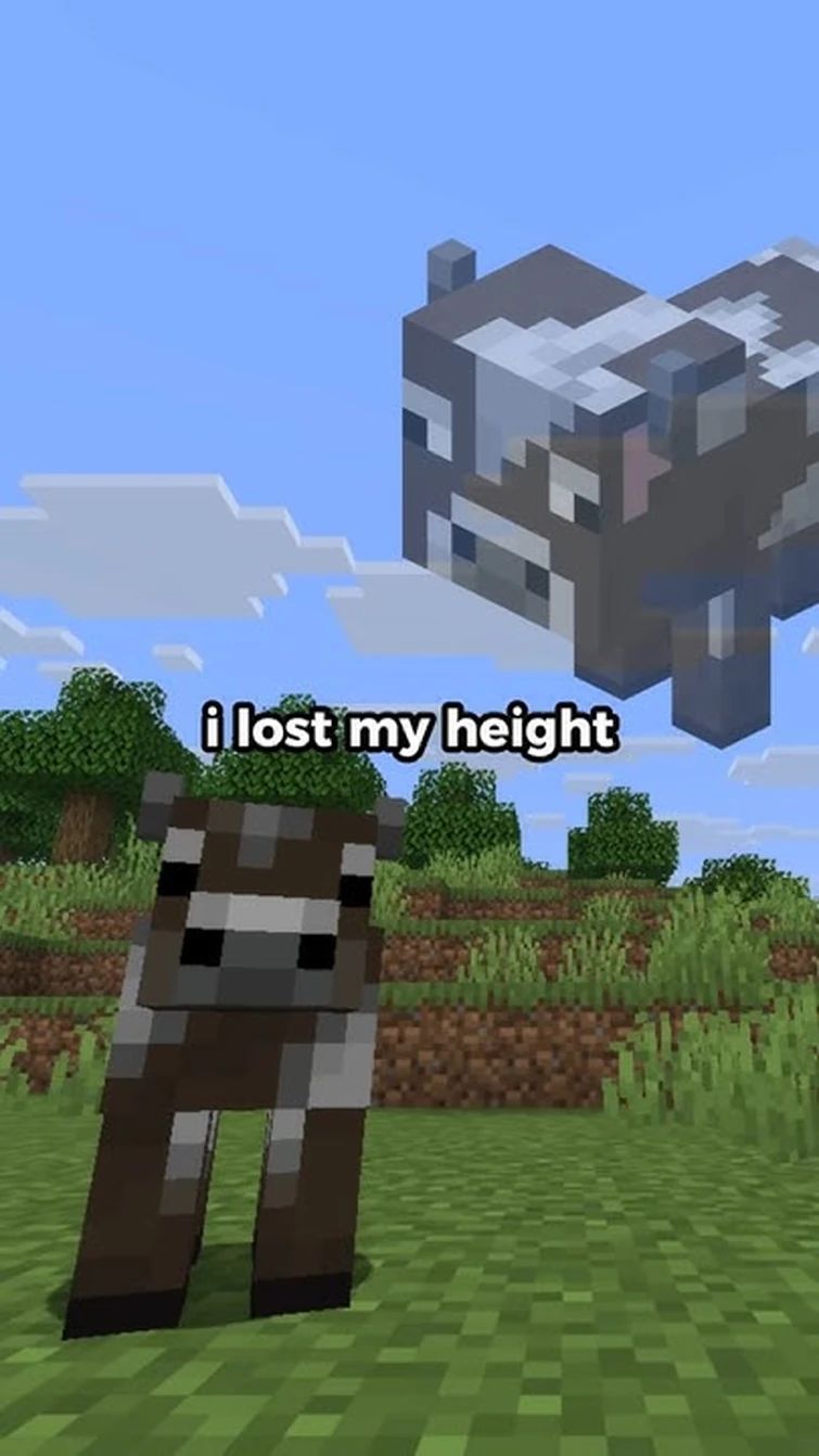 ~Minecraft Server Thread 2~ | Fandom