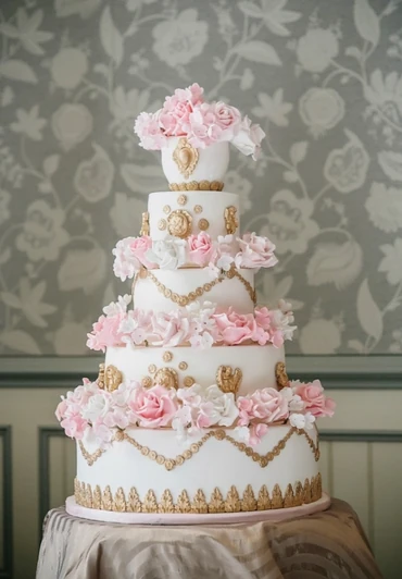 Chat which cake | Fandom