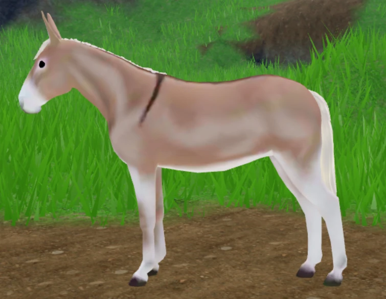 Hinny/Mule Pictures | Fandom