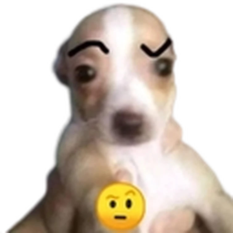 Otra revisión al Calvo con Capa | Fandom